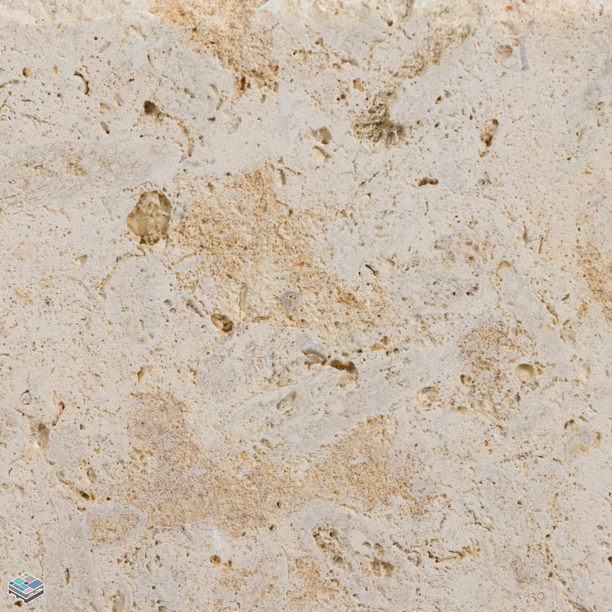 Marbella Shellstone Paver 6X12 | Tile & Marble Liquidators