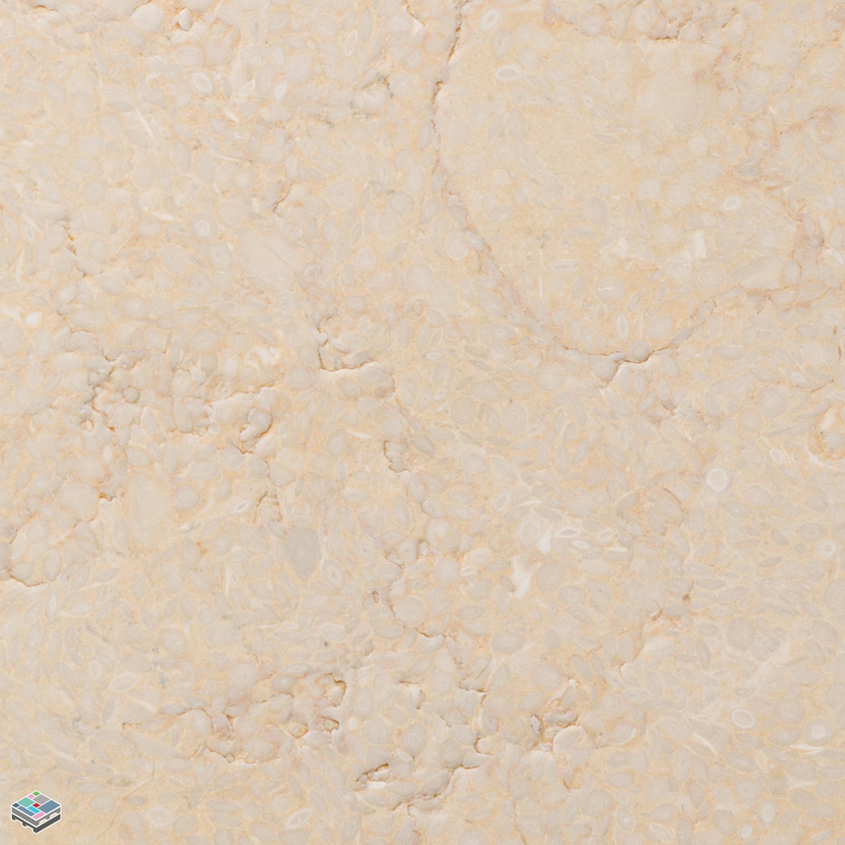 Mediterranean Desert Tile 12X24 | Tile & Marble Liquidators